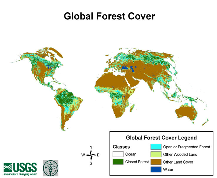 Edward J. Dodson / Time for Healing: The Case for Lessening the Human ...